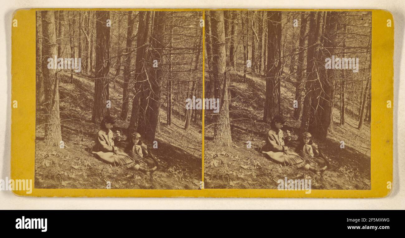 May Day Scene. New Hamsphire. Lewis Dowe (American, active 1870s ...