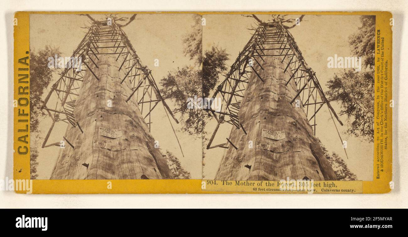 305 feet high hi-res stock photography and images - Alamy