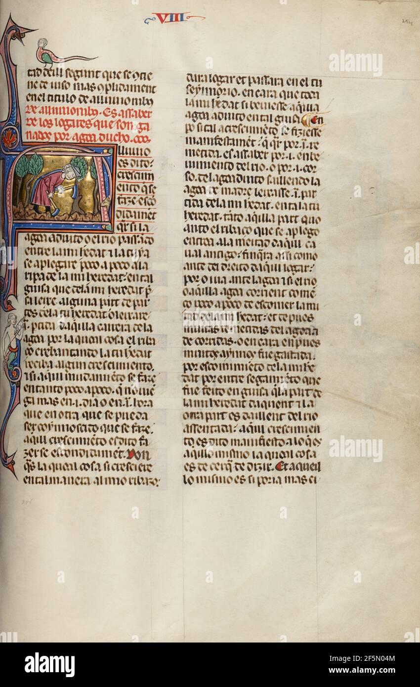 Two men digging hi-res stock photography and images - Alamy