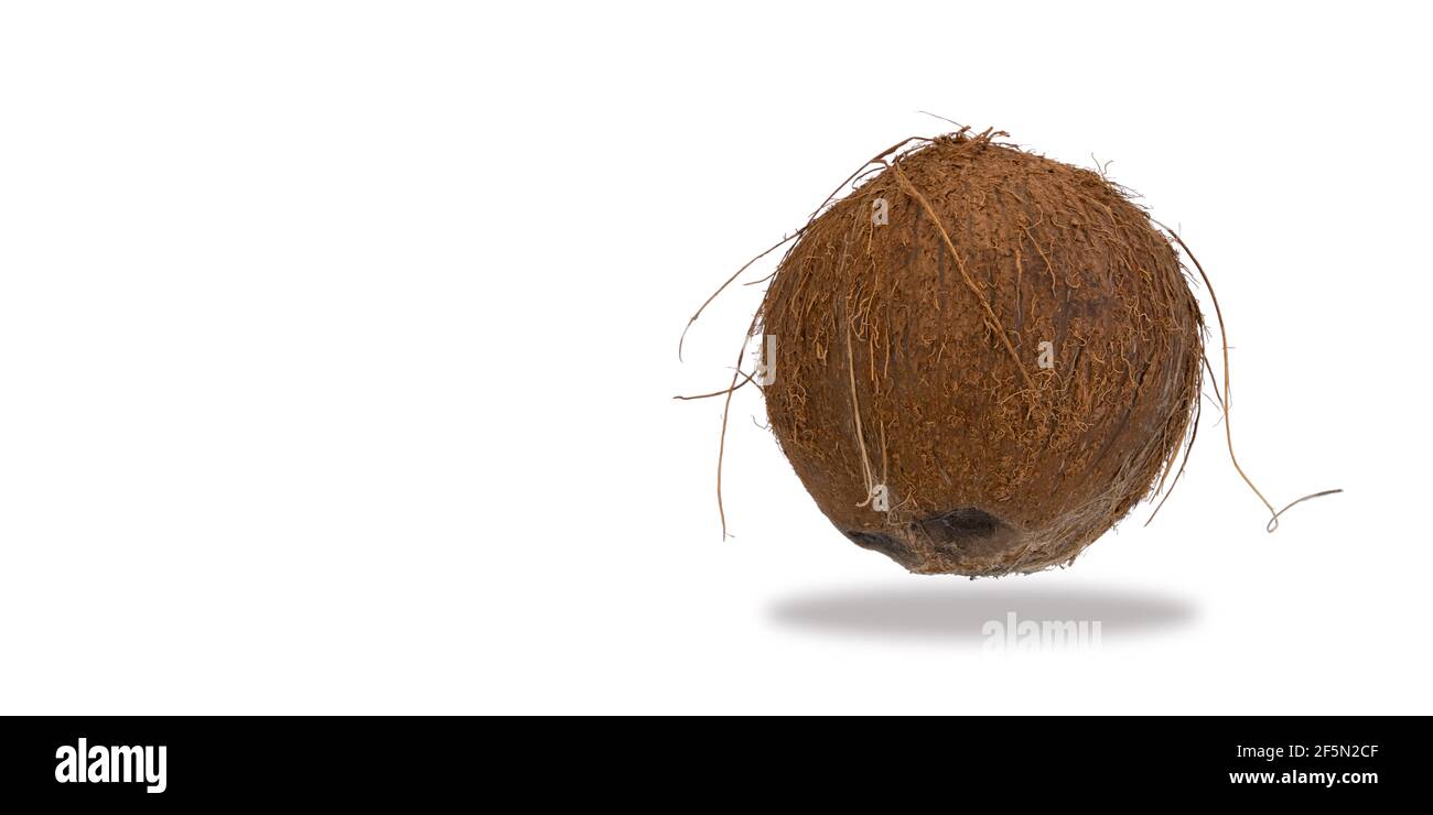 whole coconut on a white background. Coco, ripe palm fruit. outside of ...