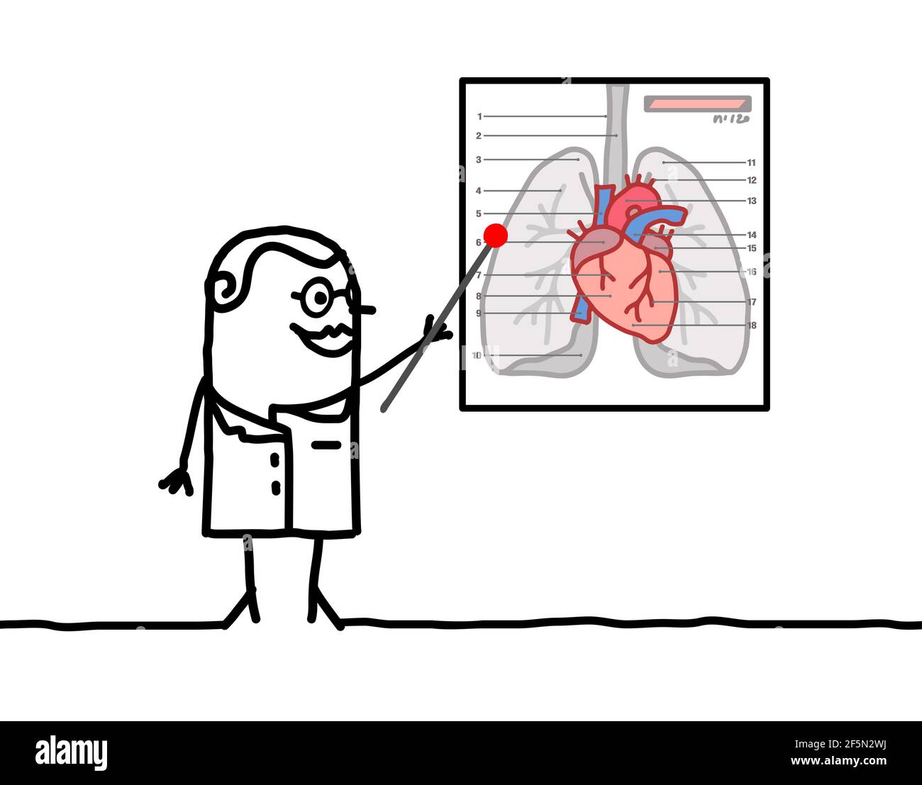 Hand drawn Cartoon Doctor explaining the Cardiac System Stock Vector ...