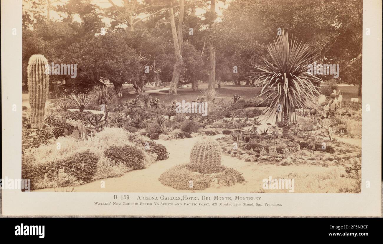 Arizona Garden, Hotel Del Monte, Monterey. Carleton Watkins (American ...