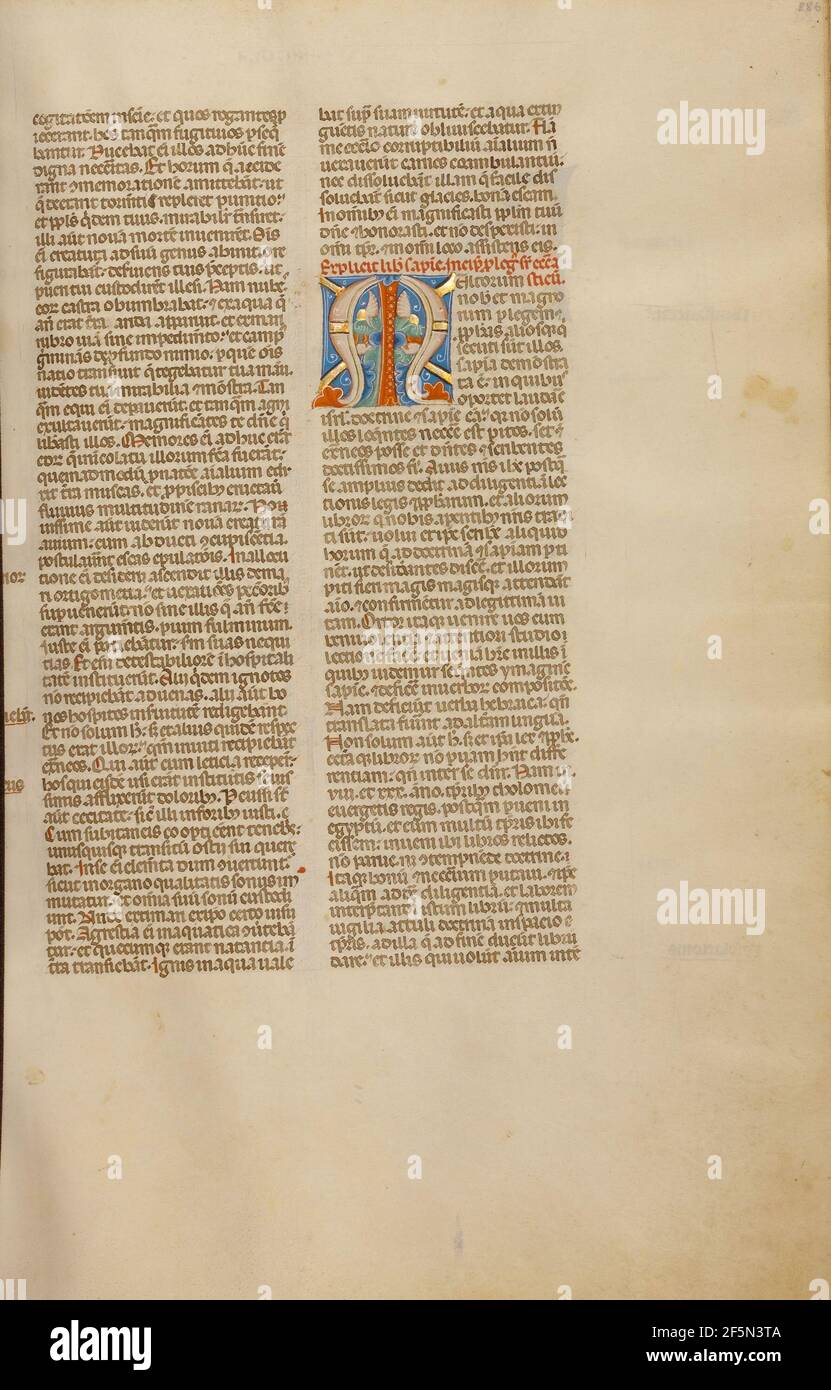 Decorated initial m hi-res stock photography and images - Alamy