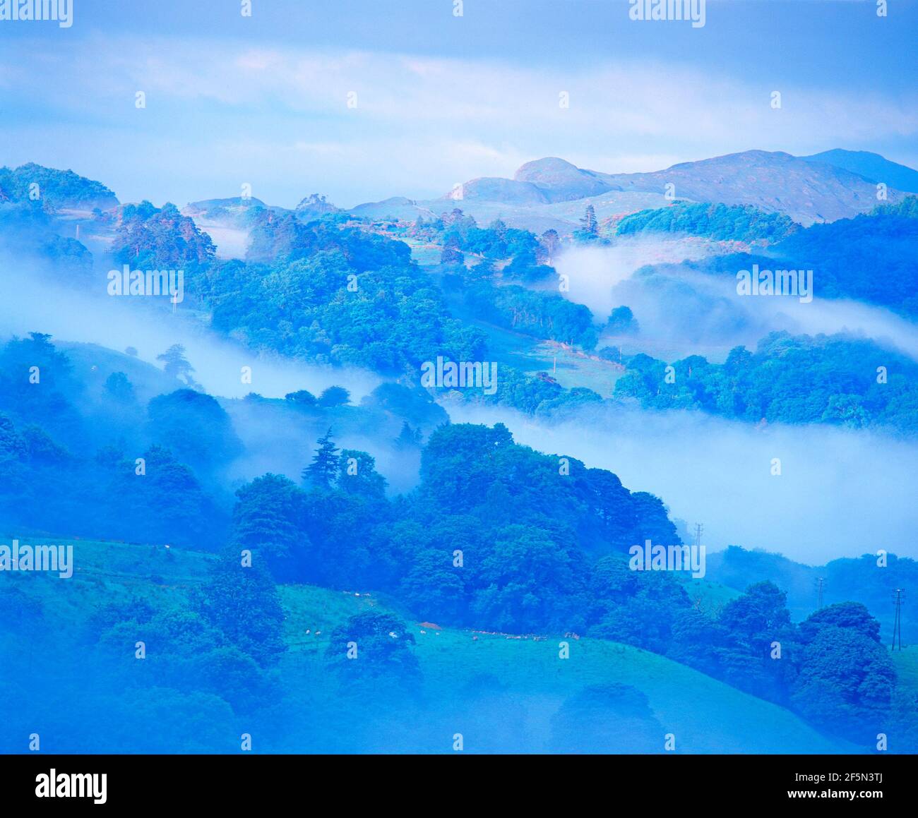 Misty climate hi-res stock photography and images - Alamy