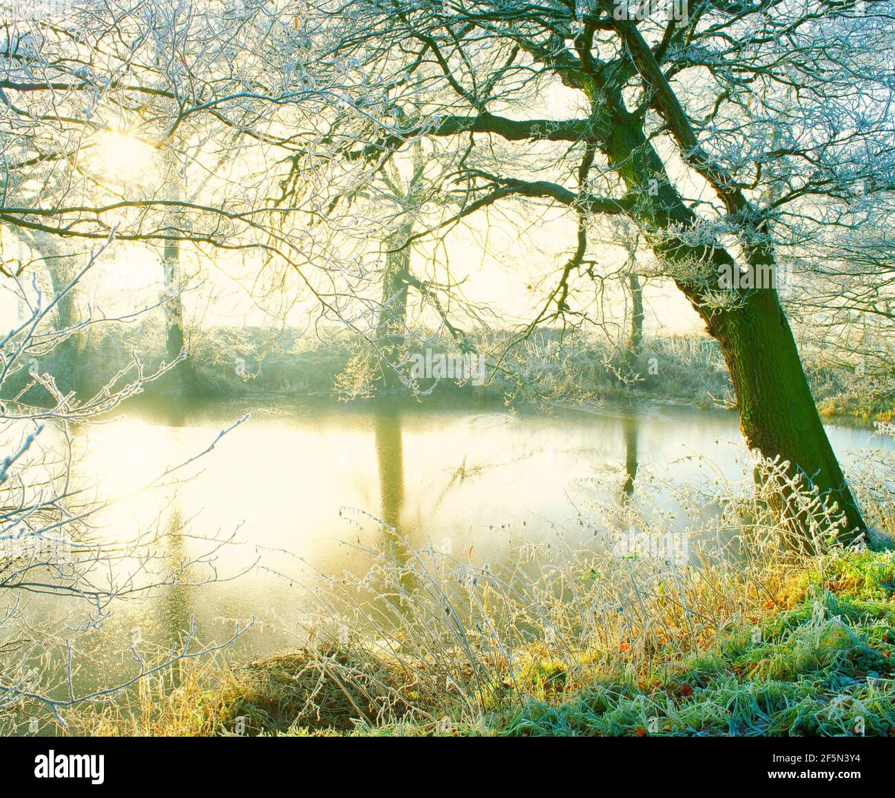 Frosted rural scene Stock Photo - Alamy