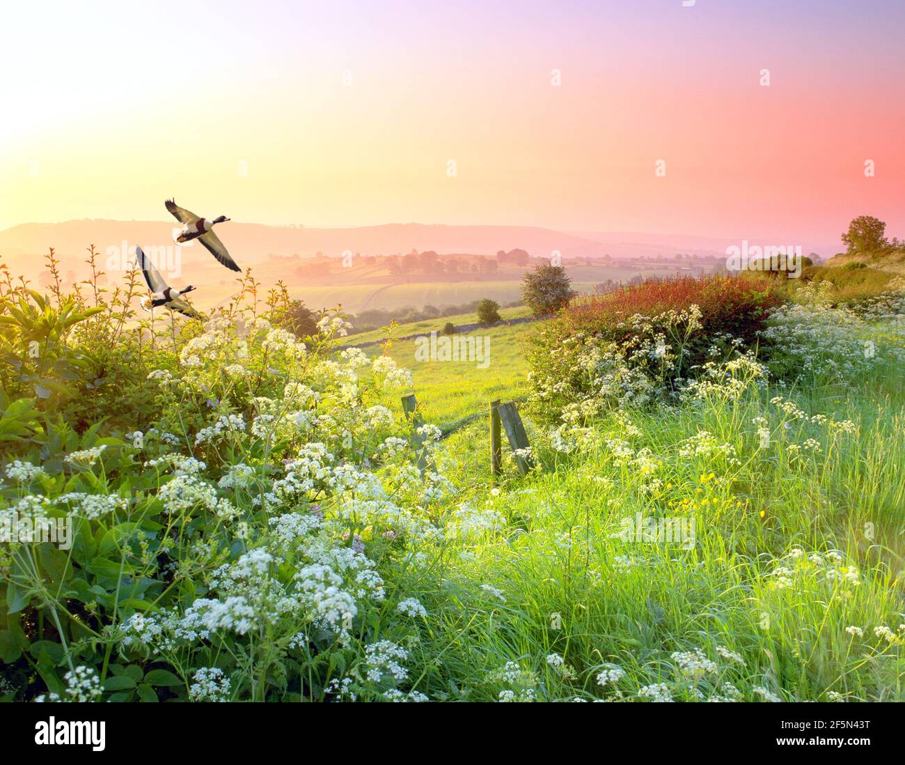 Rural flight hi-res stock photography and images - Alamy