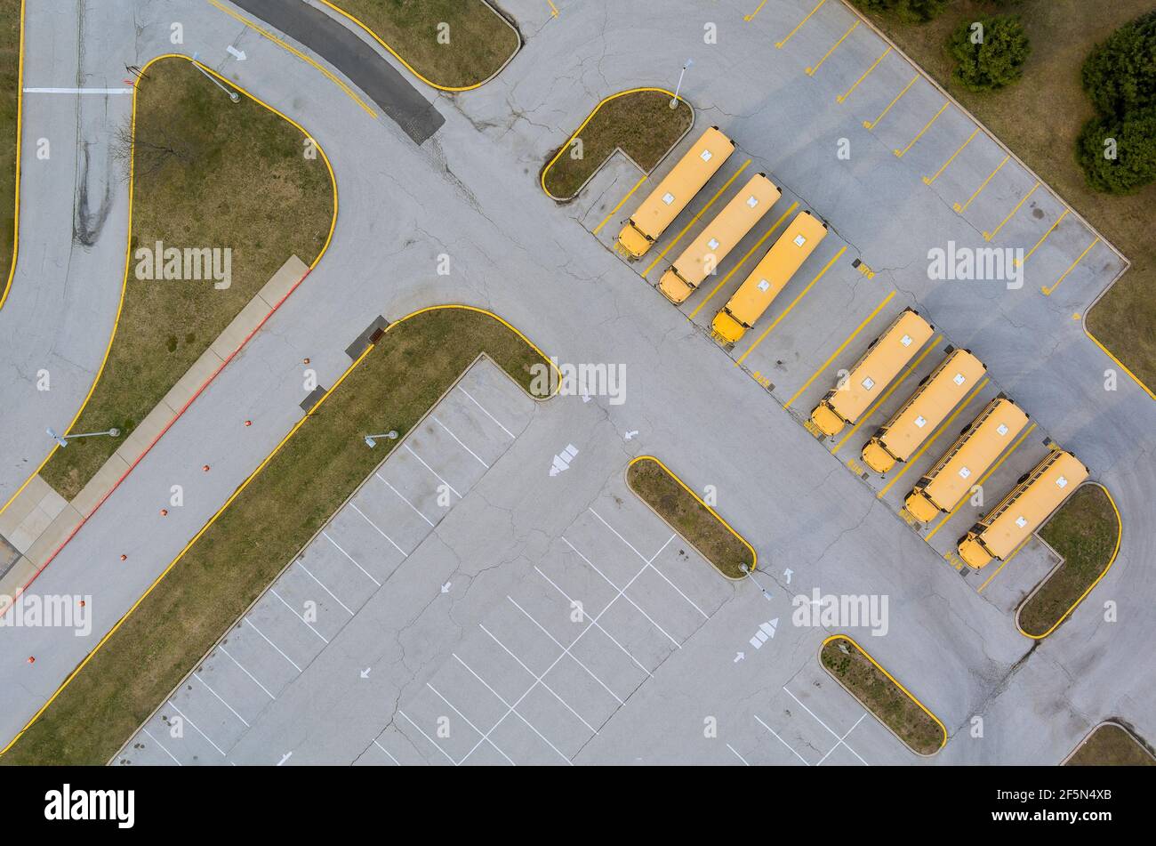 School buses in the school parking lot near the high school Stock Photo ...