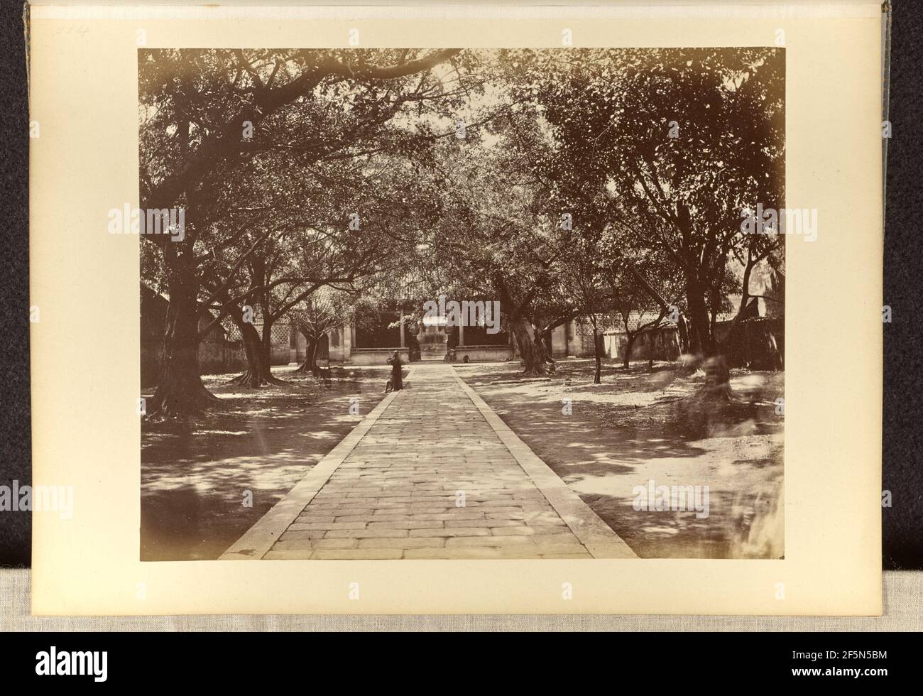 Lai afong hi-res stock photography and images - Alamy