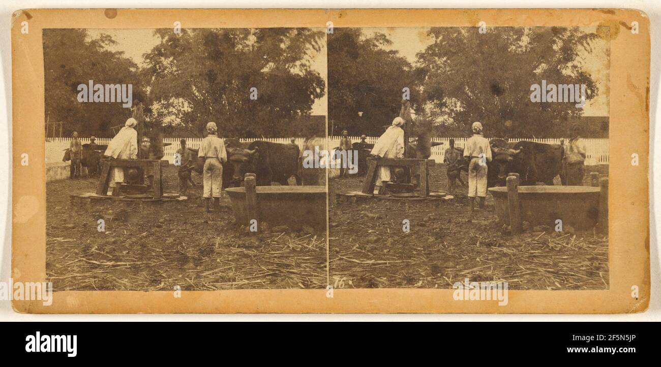 Historical agricultural scene hi-res stock photography and images - Alamy