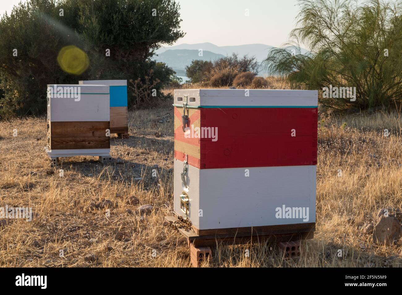 Traditional Beehives sitting in the mediterranean sunshine, Greece ...