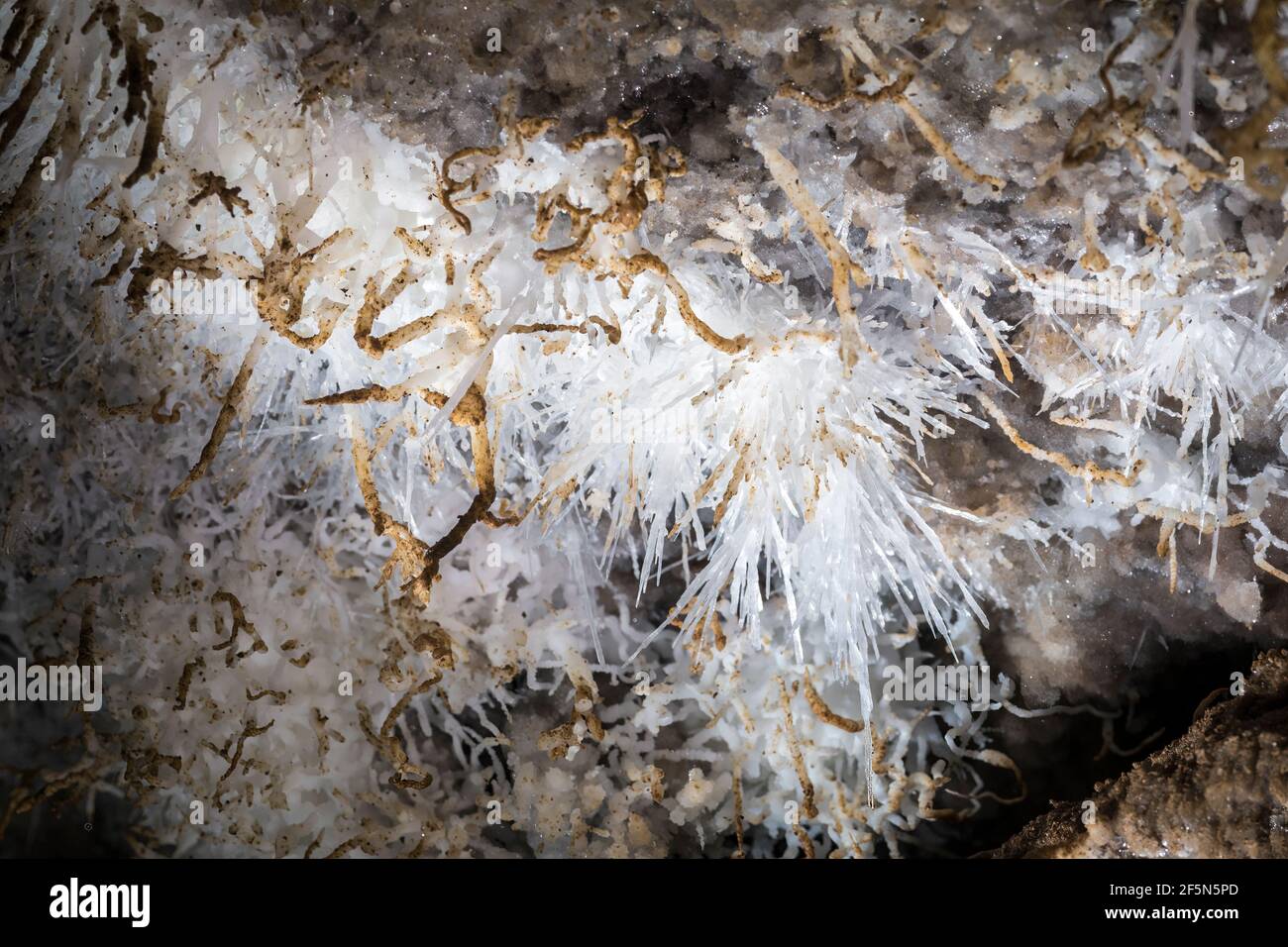 Maboroshi High Resolution Stock Photography and Images - Alamy