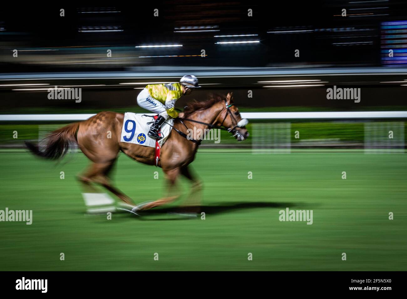Horse Racing at night in Hong Kong Happy Valley Jockey Club Stock Photo ...