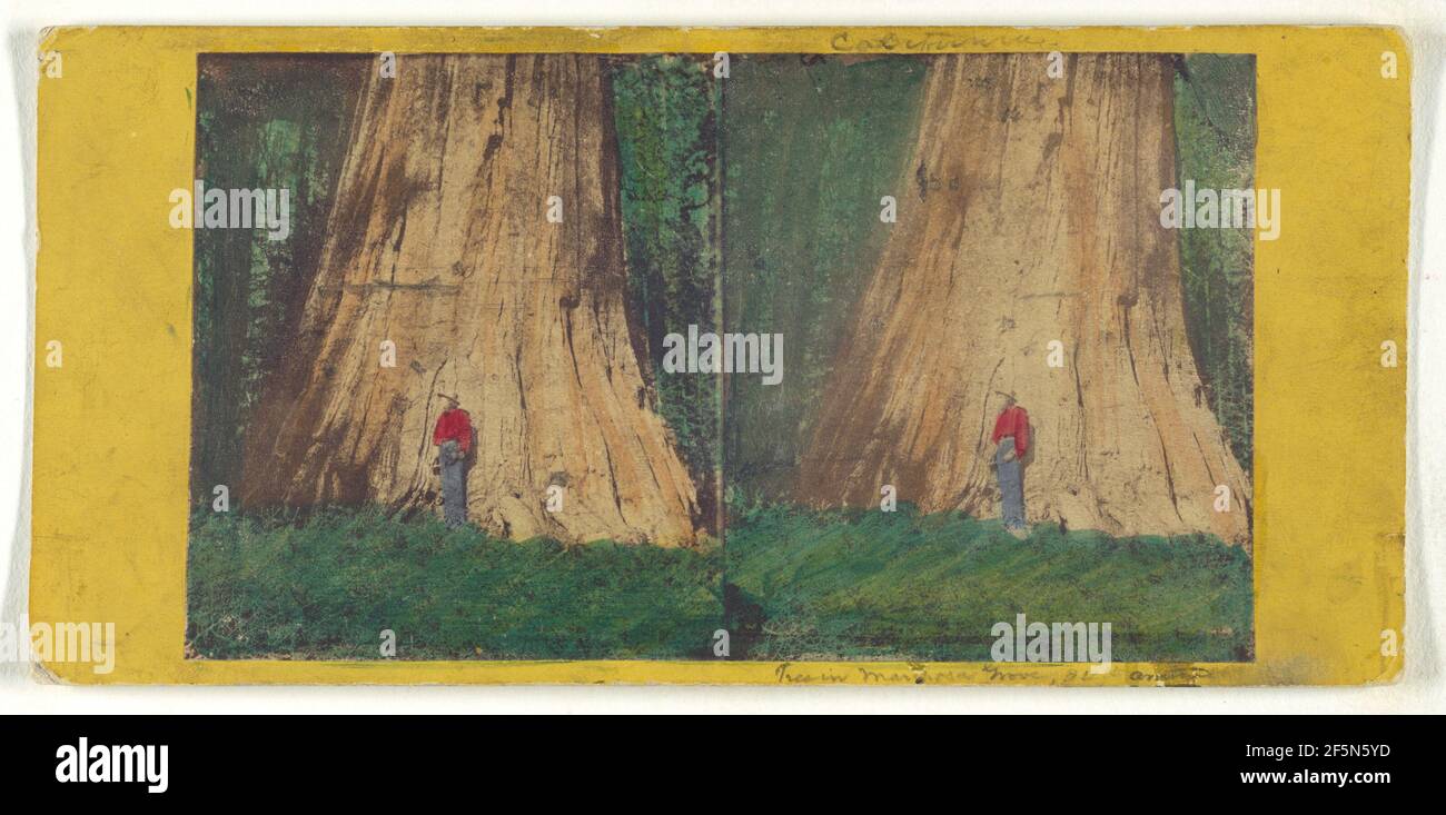 94 feet circumference hi-res stock photography and images - Alamy