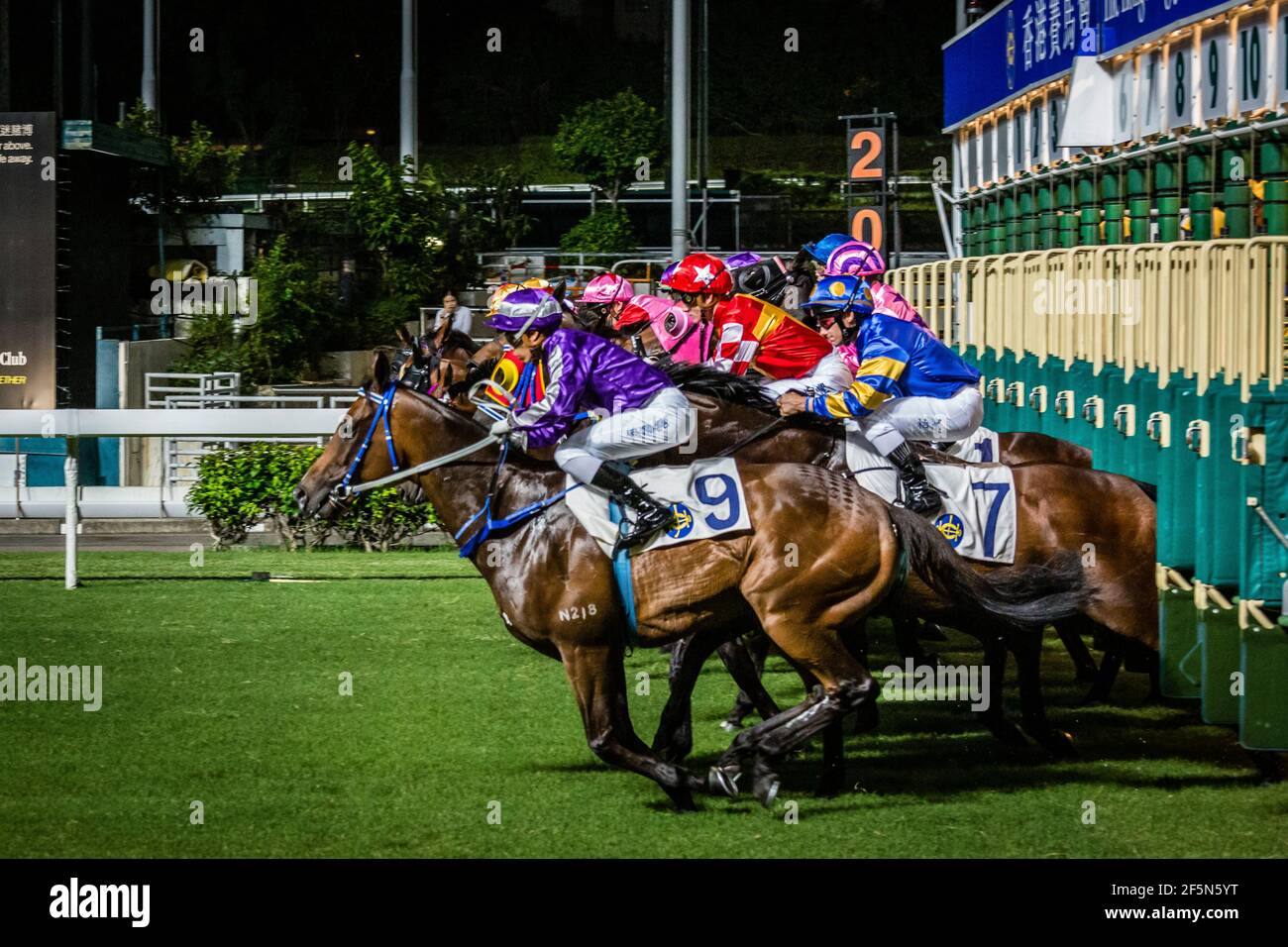 Horse Racing at night in Hong Kong Happy Valley Jockey Club Stock Photo ...