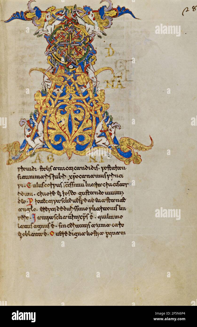 Inhabited initial a hi-res stock photography and images - Alamy