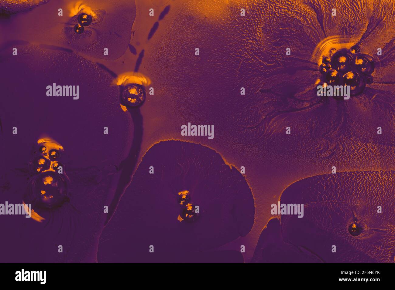 Abstract painting in ebru technique with flower-like patterns in purple ...