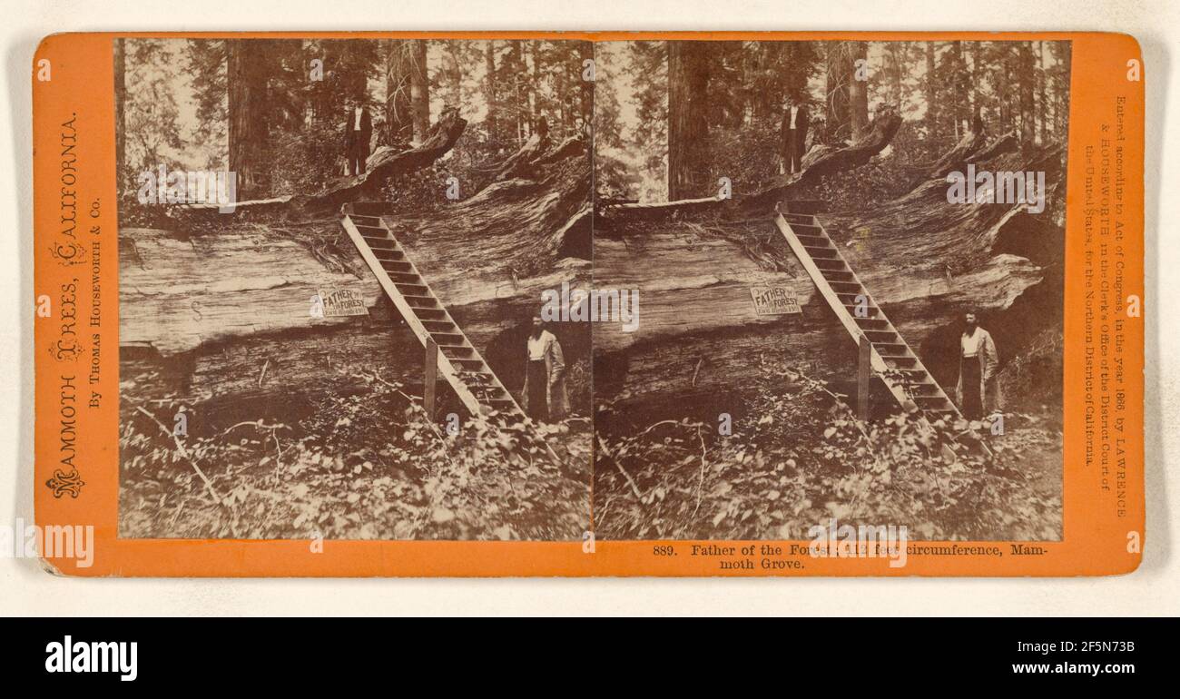 112 feet circumference hi-res stock photography and images - Alamy