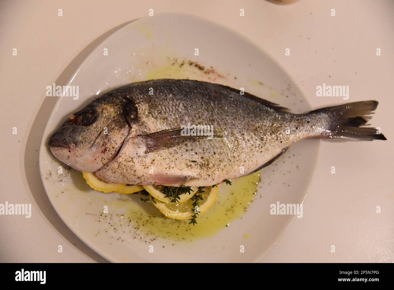 Dorade hi-res stock photography and images - Alamy