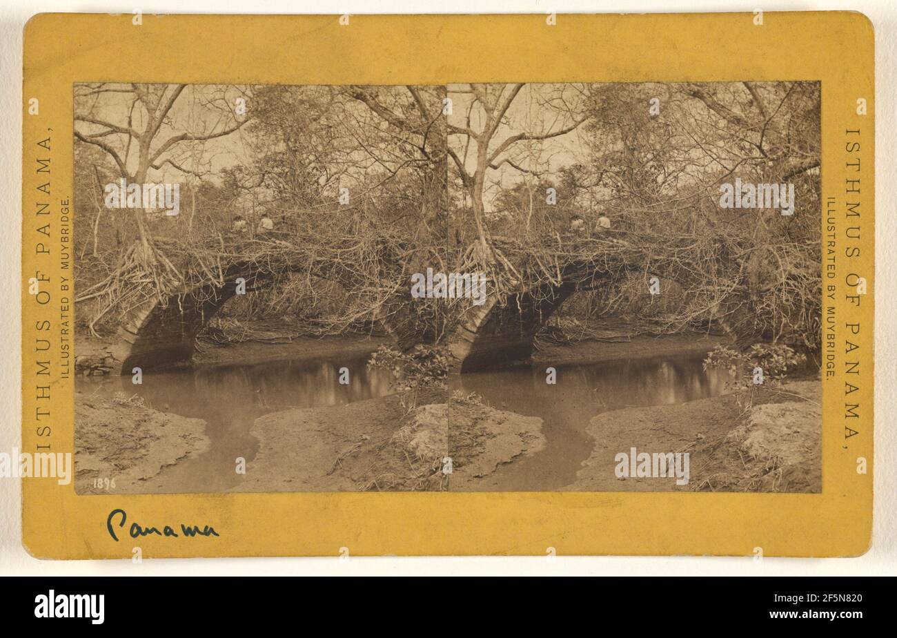 Old Panama. Bridge on Porto Bello Road.. Eadweard J. Muybridge ...