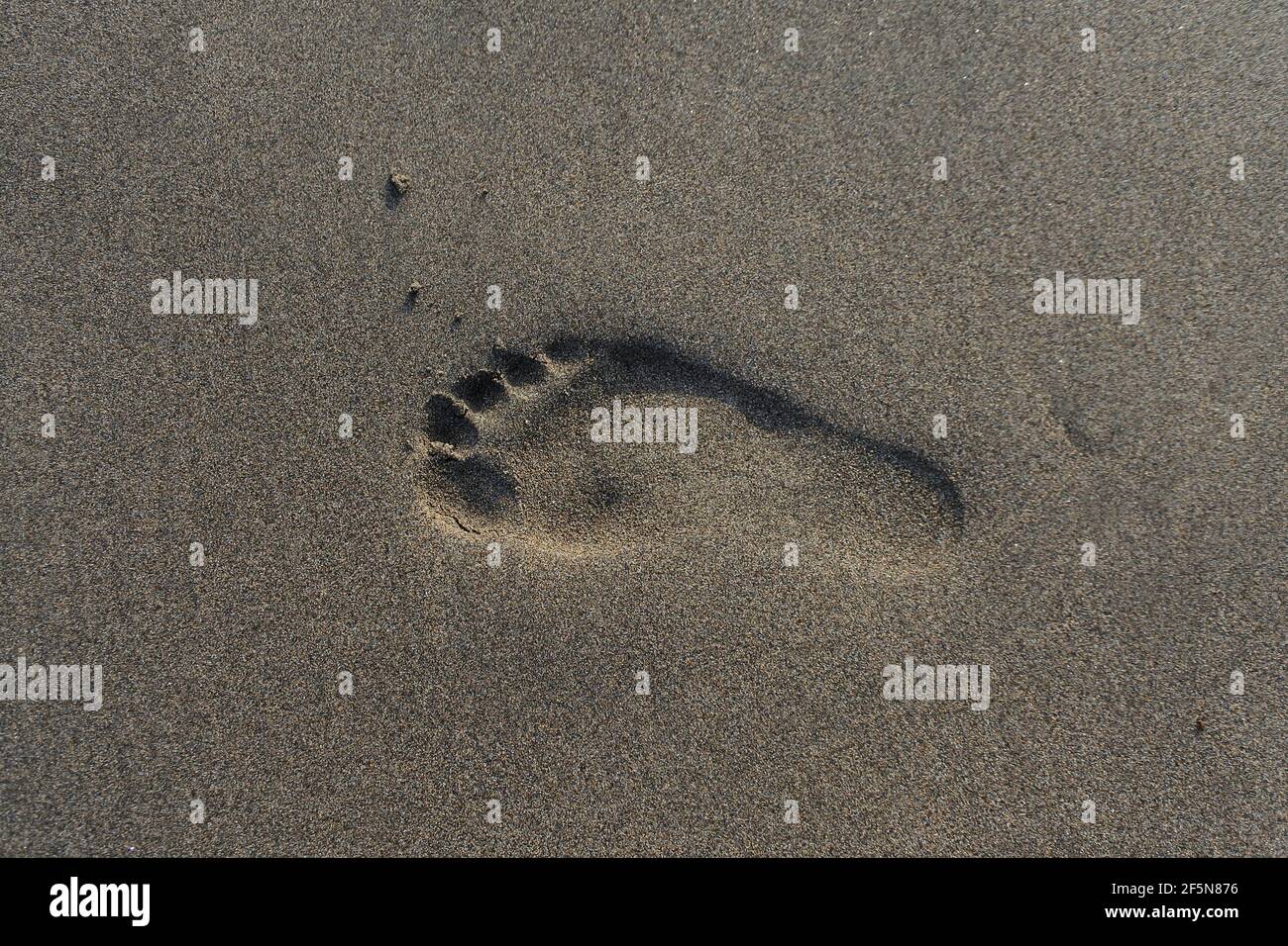 Closeup top view of a single footprint on a wet sandy surface Stock ...