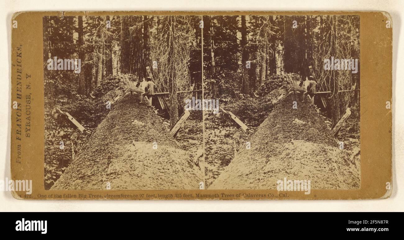 97 feet hi-res stock photography and images - Alamy