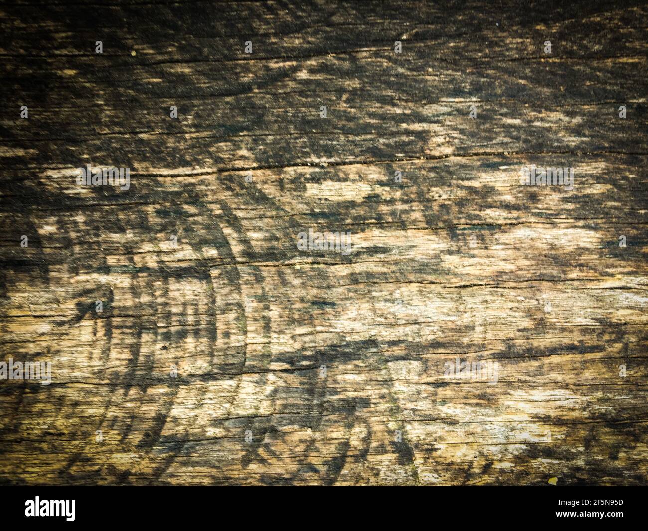 Beautiful wooden pattern background for work and design Stock Photo - Alamy