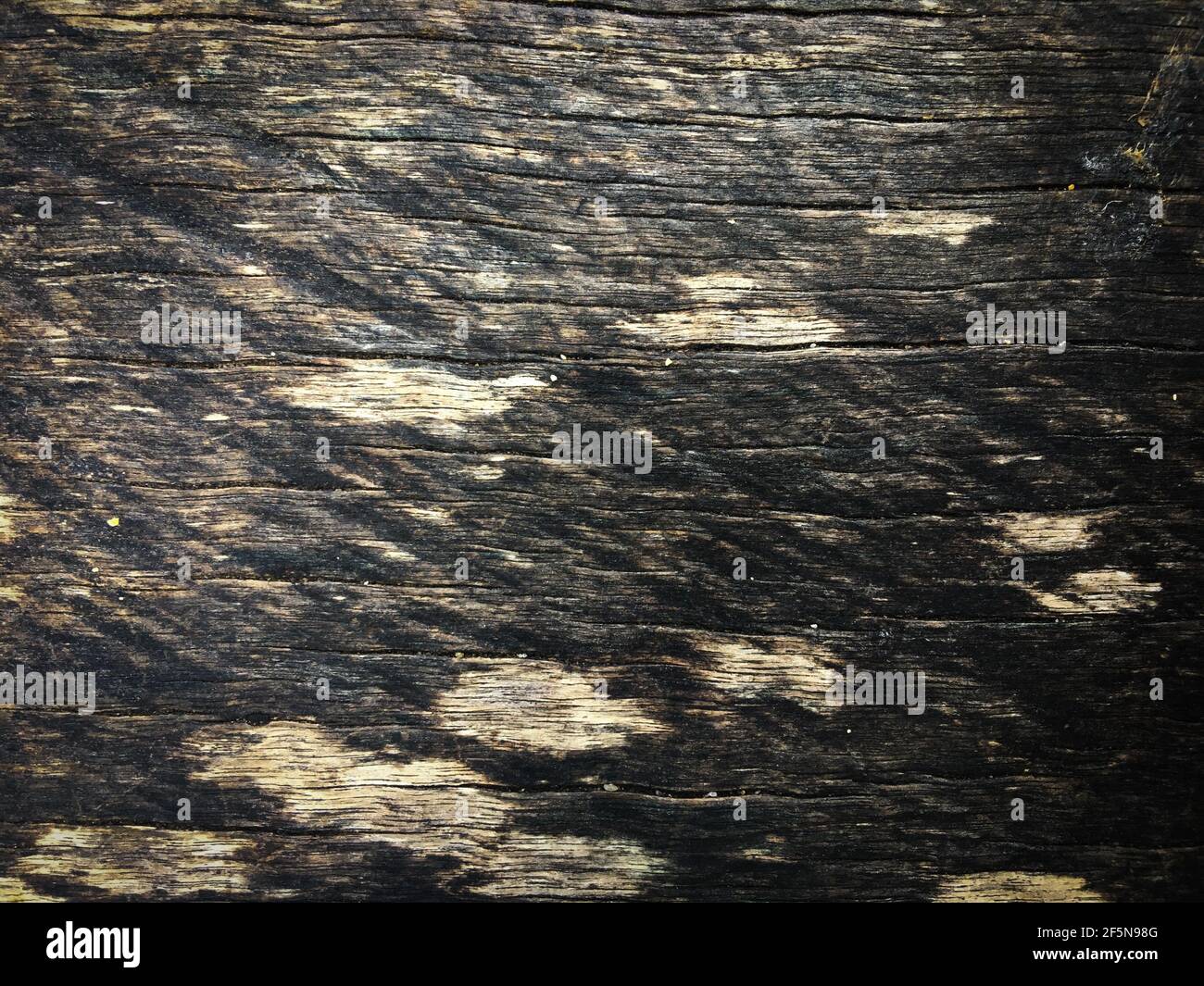 Beautiful wooden pattern background for work and design Stock Photo - Alamy