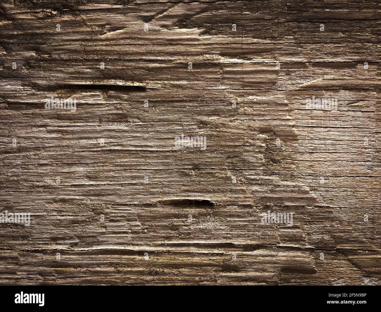 Natural pattern wood background for design Stock Photo - Alamy