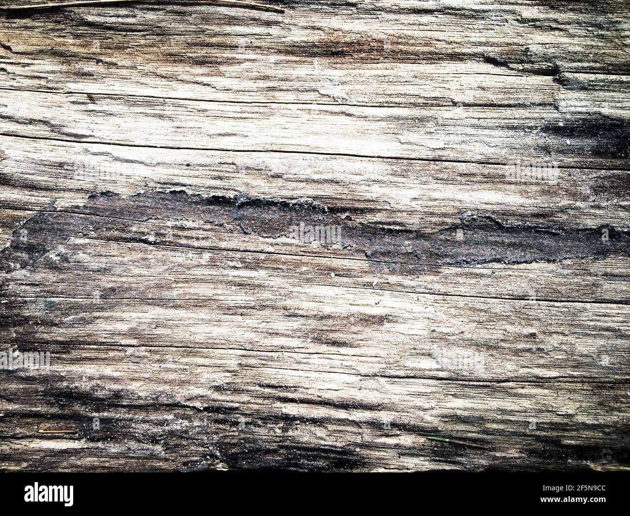 Natural pattern wood background for design Stock Photo - Alamy