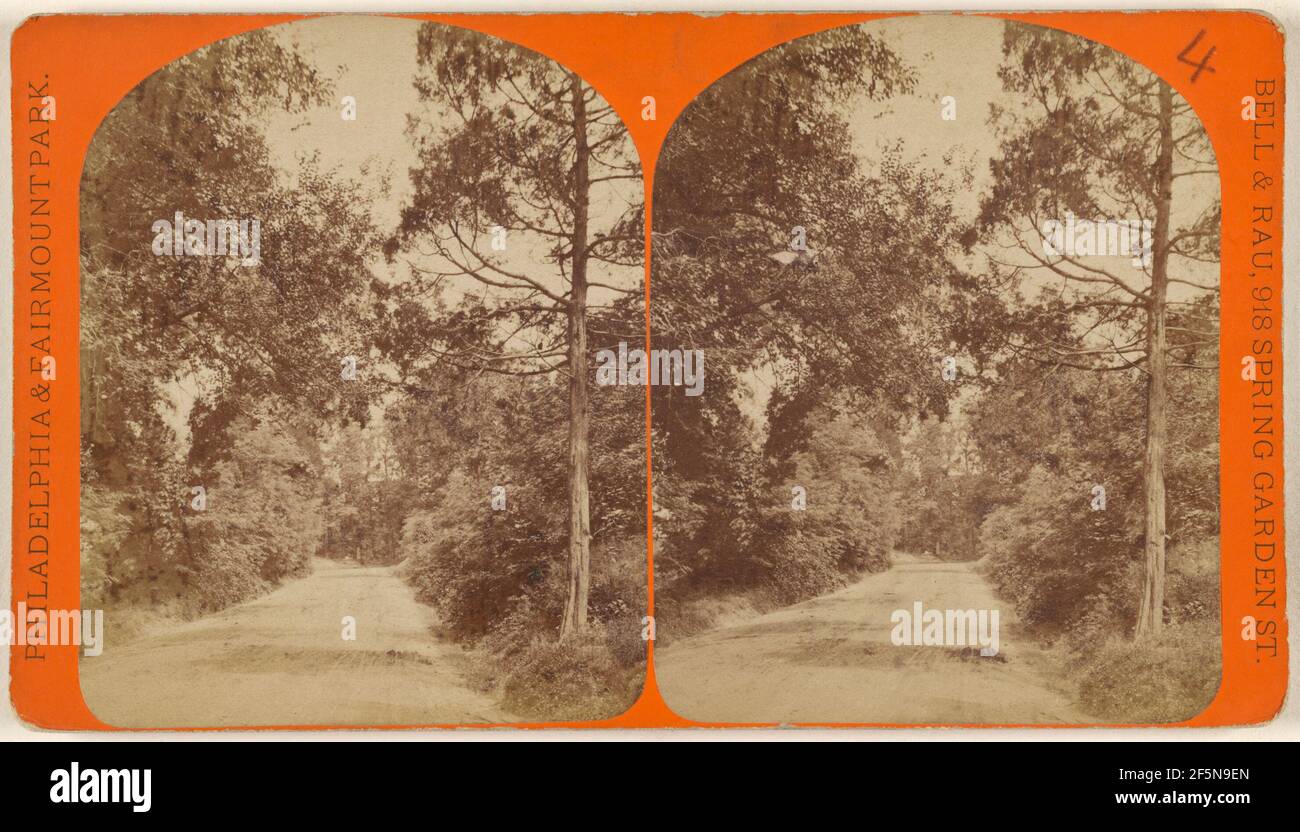 Drive to Strawberry Mansion.. William H. Rau (American, 1855 - 1920 ...