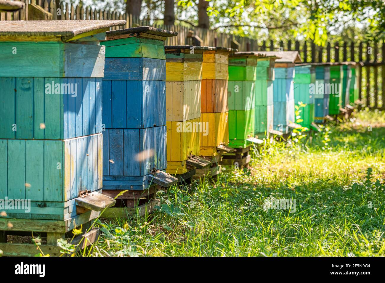 Vintage beehives in the fruit orchard. Natural and ecological ...
