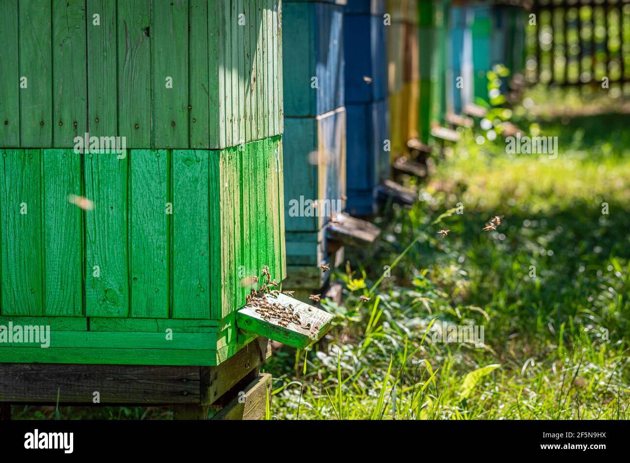 Vintage beehives in a small village. Natural and ecological beekeeping ...