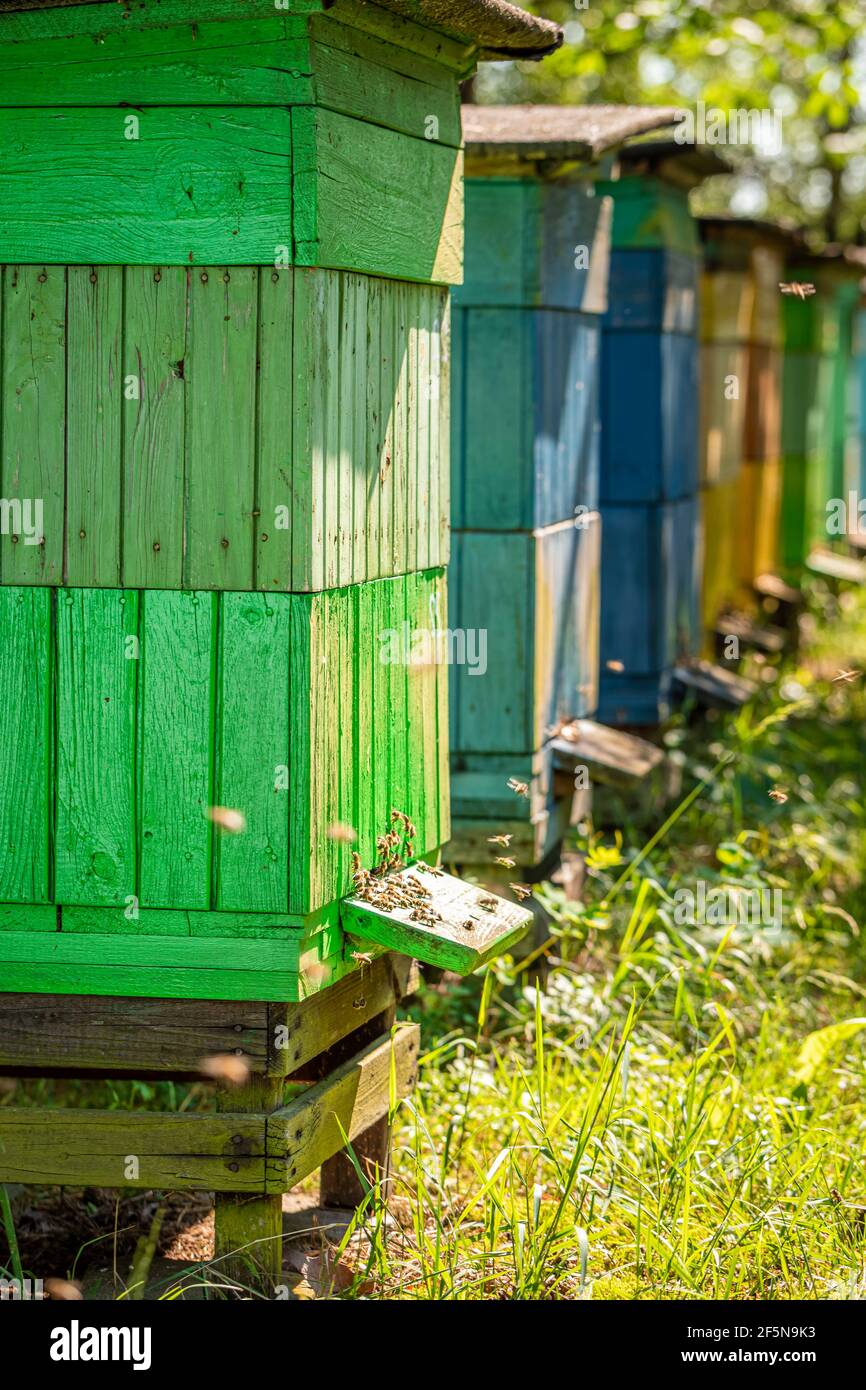 Vintage apiary in a rural settlement. Ecological honey production ...