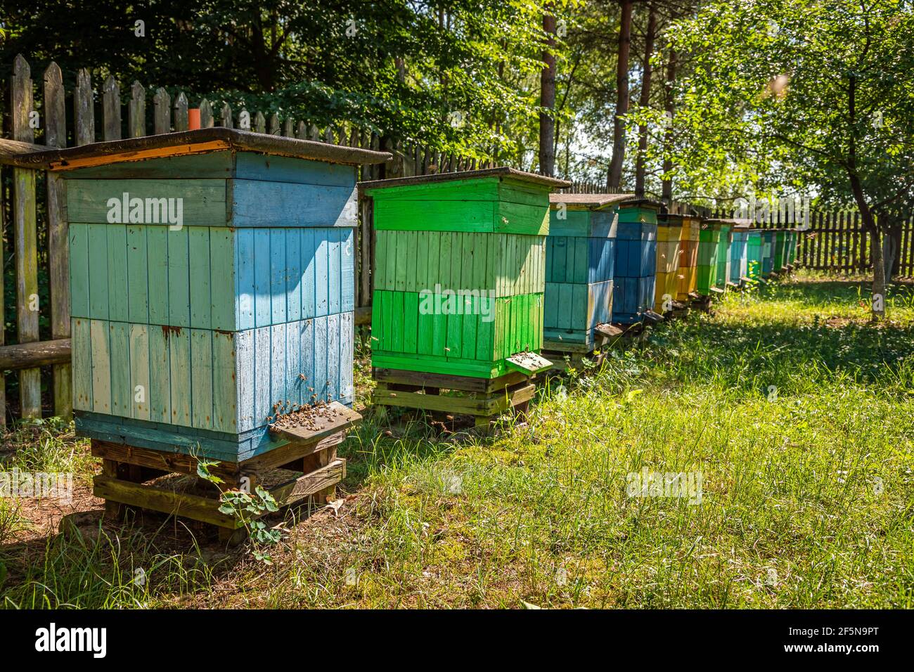 Cool beehives in the fruit orchard. Natural and ecological beekeeping ...