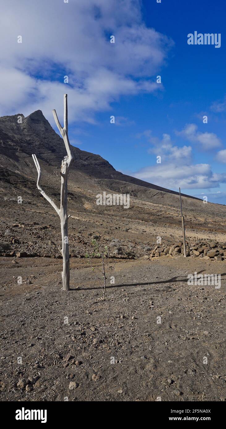 Dead mountain hi-res stock photography and images - Alamy