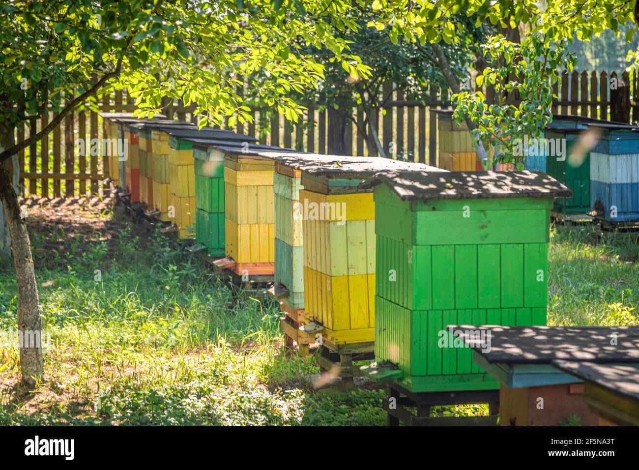 Unique apiary in the fruit orchard. Ecological honey production ...