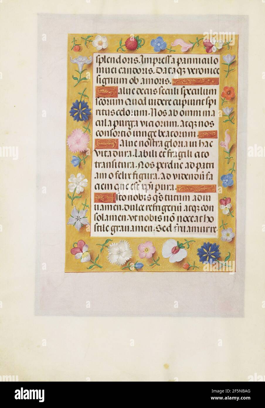 Decorated Text Page. Unknown Stock Photo - Alamy
