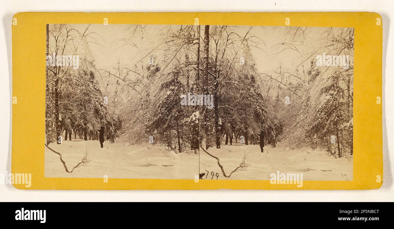 Winter in the Catskills. Ice and Snow. Edward and Henry T. Anthony & Co ...