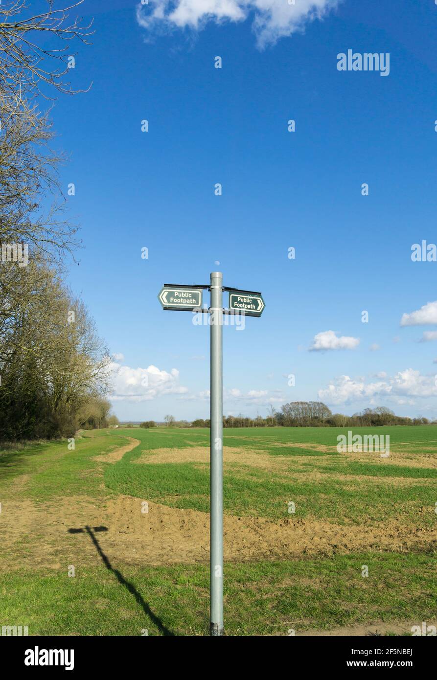 Footpath tree green sky hi-res stock photography and images - Alamy