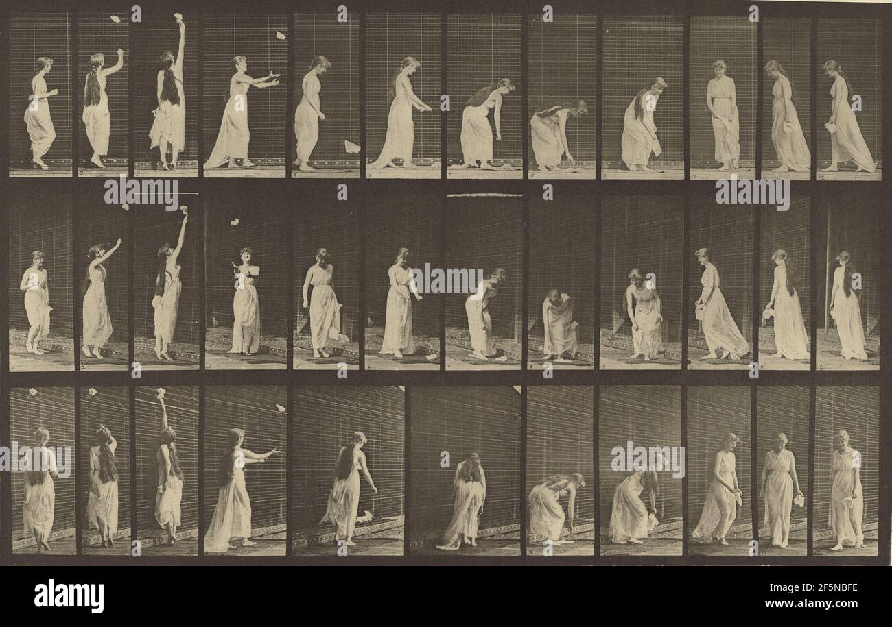 Eadweard muybridge animal locomotion hi-res stock photography and ...