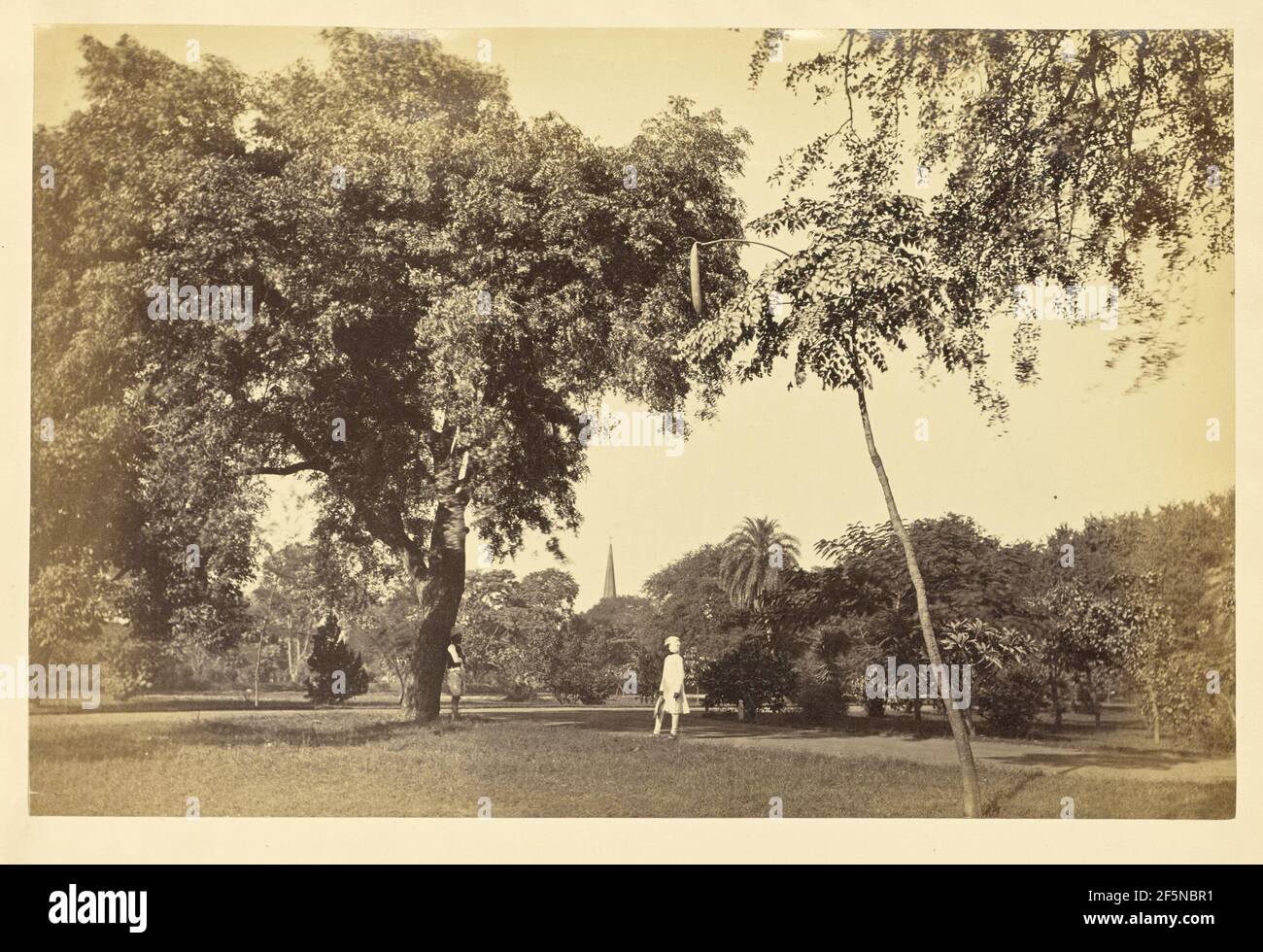 Wingfield Park, with Church Spire in the Background, Lucknow. Unknown ...