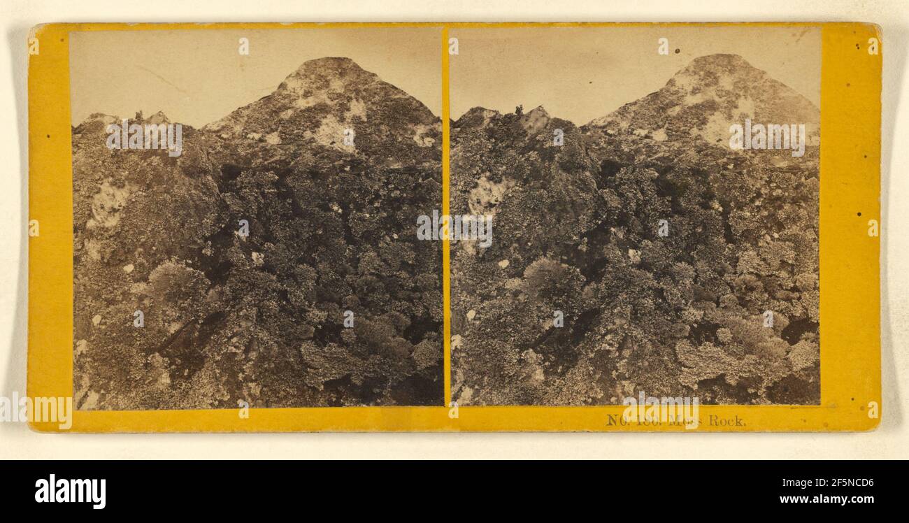 Moss Rock.. Benjamin West Kilburn (American, 1827 - 1909 Stock Photo ...