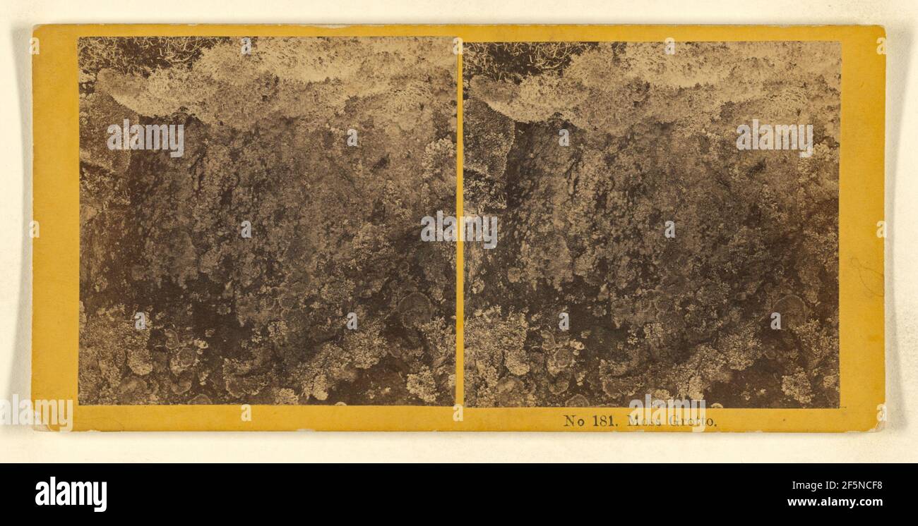 Moss Grotto.. Benjamin West Kilburn (American, 1827 - 1909 Stock Photo ...