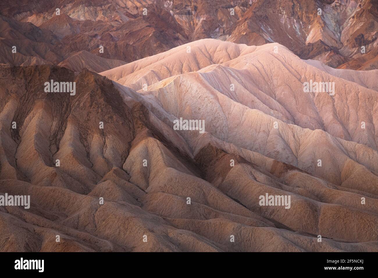 Detail texture of the rugged sedimentary rock terrain of the badlands ...