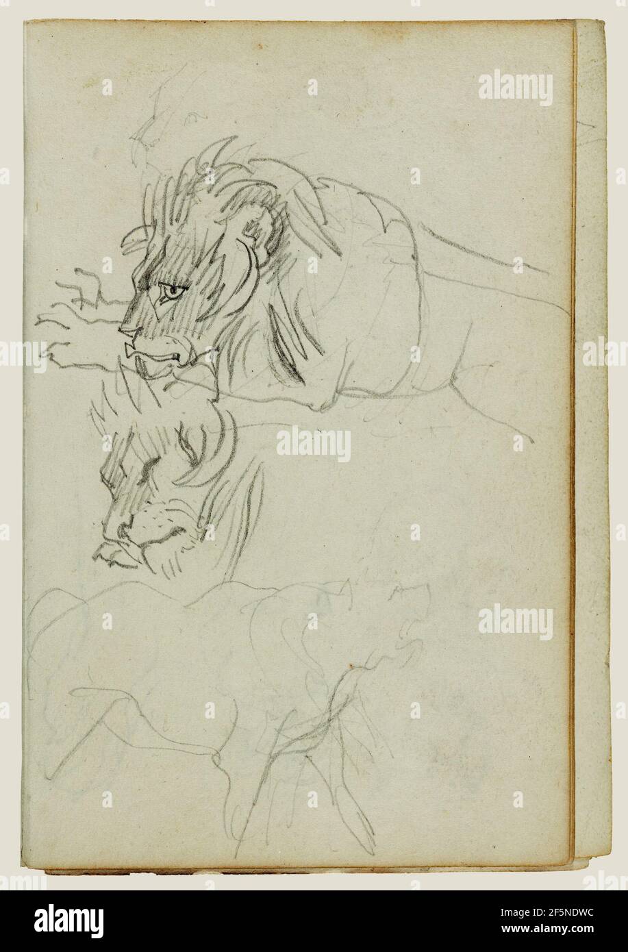 Three lion studies. Théodore Géricault (French, 1791 - 1824 Stock Photo - Alamy