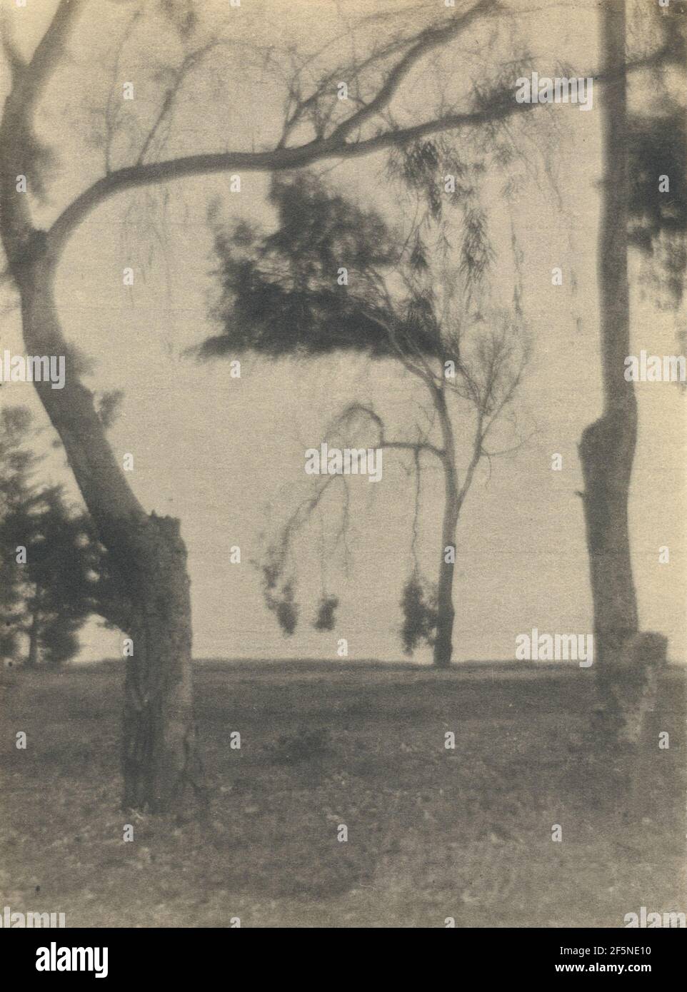 Landscape with Trees. Louis Fleckenstein (American, 1866 - 1943 Stock ...