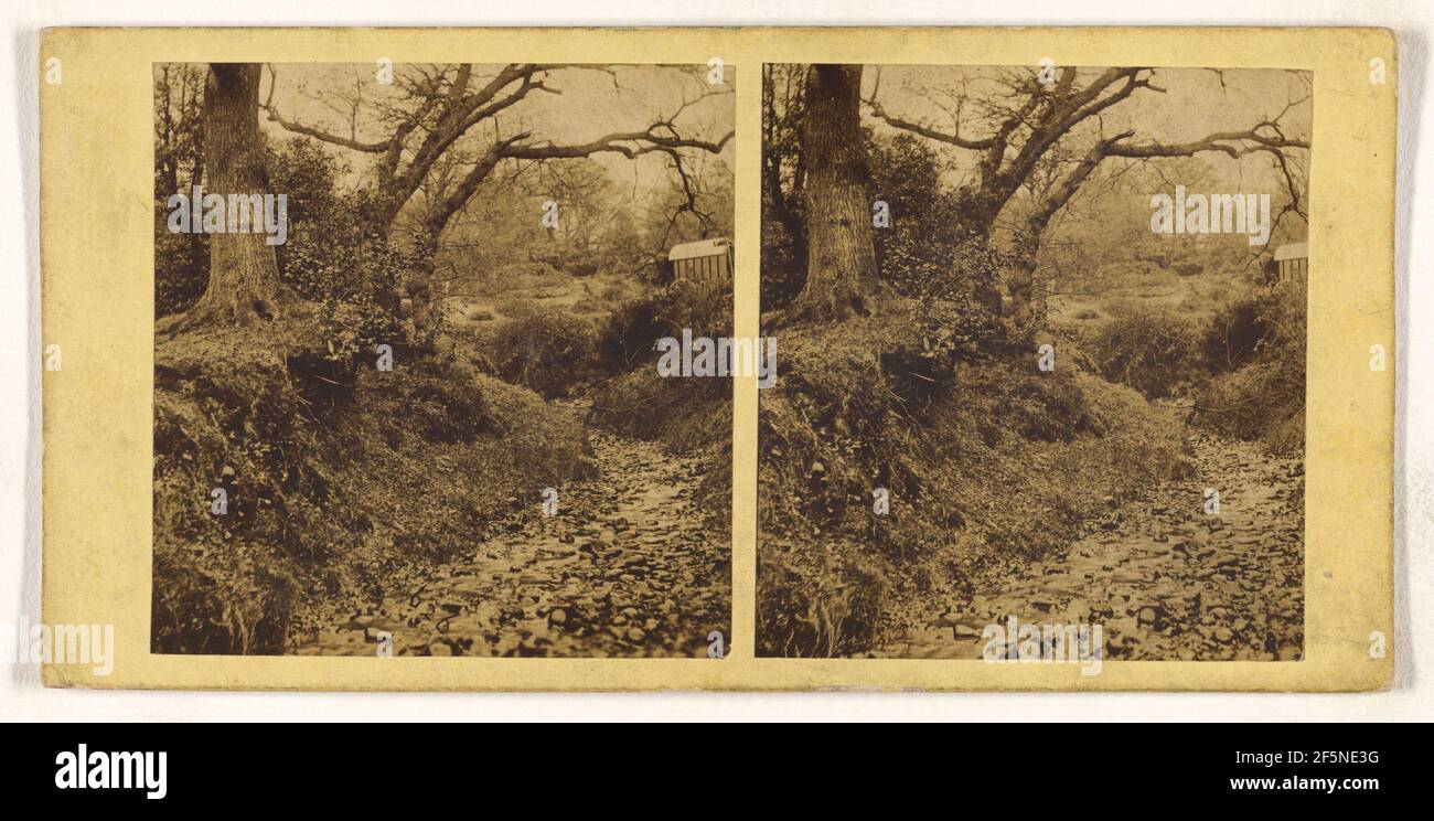 The trickling brook. Unknown Stock Photo - Alamy