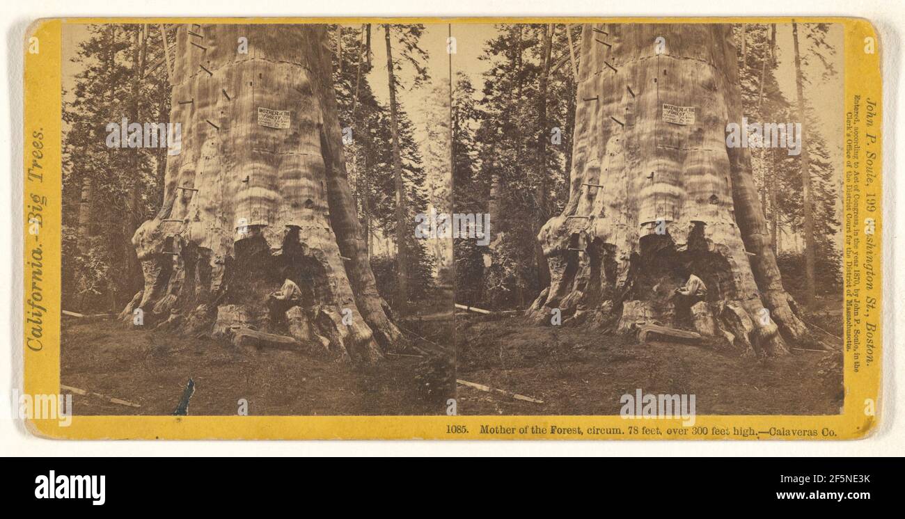 78 feet hi-res stock photography and images - Alamy