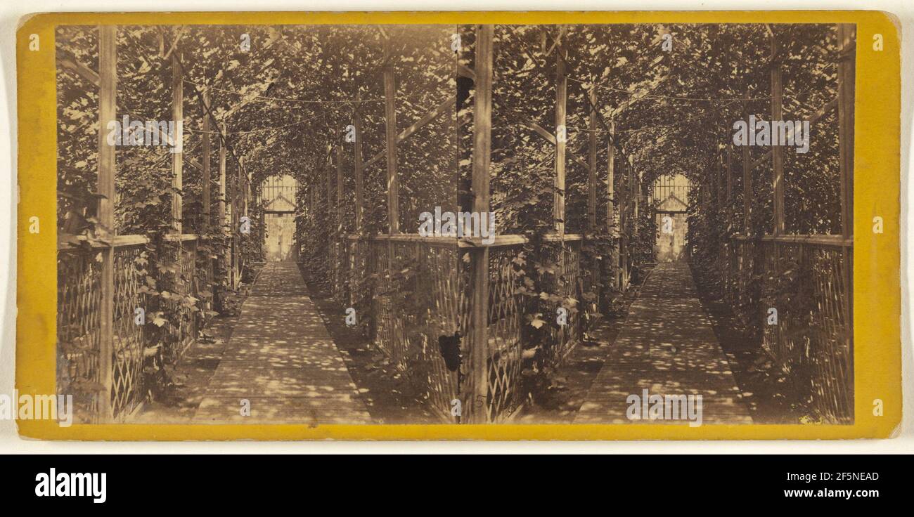 The Residence of Morris Ketchum, Esq., Westport, Conn. Interior of the ...