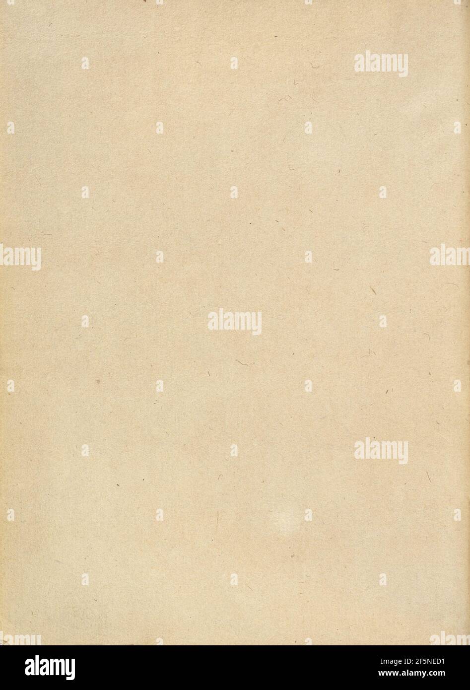 Inscribed paper flyleaf. Joris Hoefnagel (Flemish / Hungarian, 1542 ...